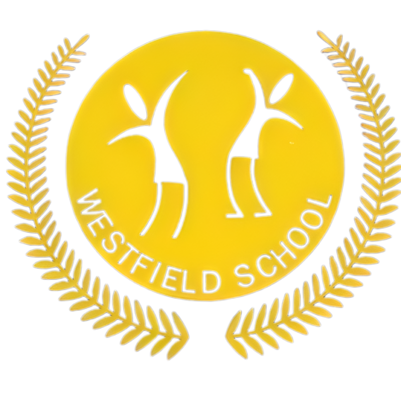 Tenbury Comets Disability Football - Westfield School